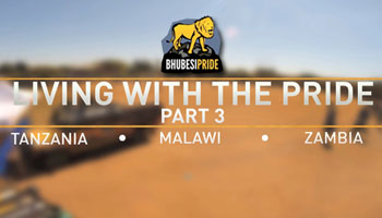Living With The Pride - Part 3 - Tanzania, Malawi, Zambia | Rugbydump