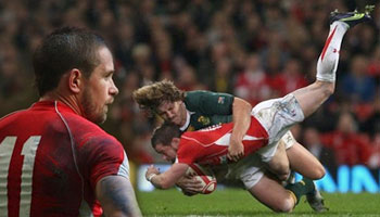 Shane Williams out for 10 weeks following Francois Steyn tackle | Rugbydump