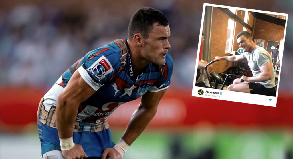 Jesse Kriel is back in the gym just four days after surgery | RugbyDump ...