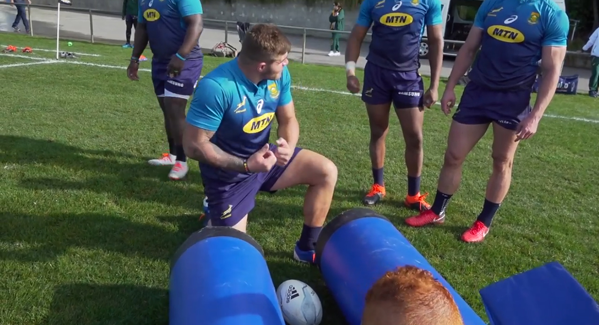 Springboks training snippet gives glimpse into the art of stealing ball ...