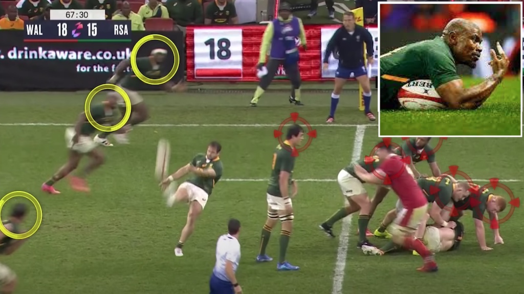 WATCH: Refereeing analysis shows breakaway Springboks try should have ...
