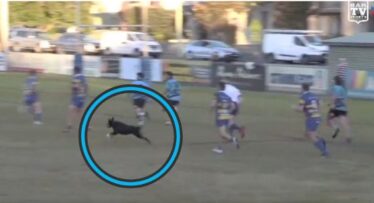 Rugby News & Videos of Tries, Funny Incidents & More | RugbyDump