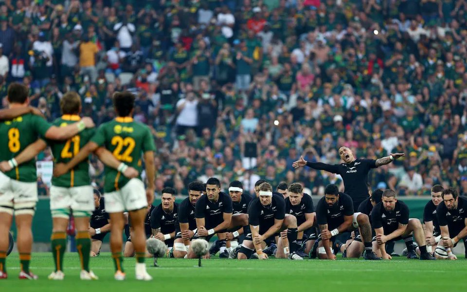 Internet Remains Undefeated Following Springbok Win | Rugbydump