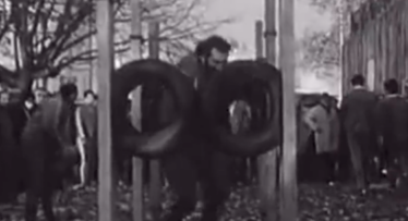 Rugby News & Videos of Tries, Funny Incidents & More | RugbyDump