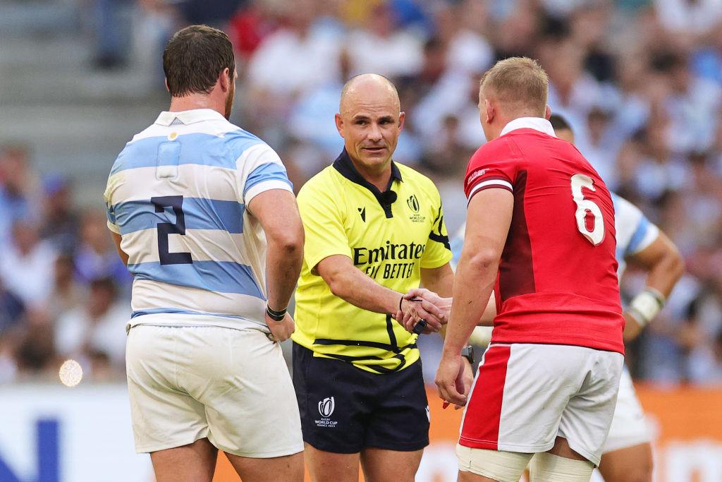 Top referee calls time on career following injury concerns that left ...
