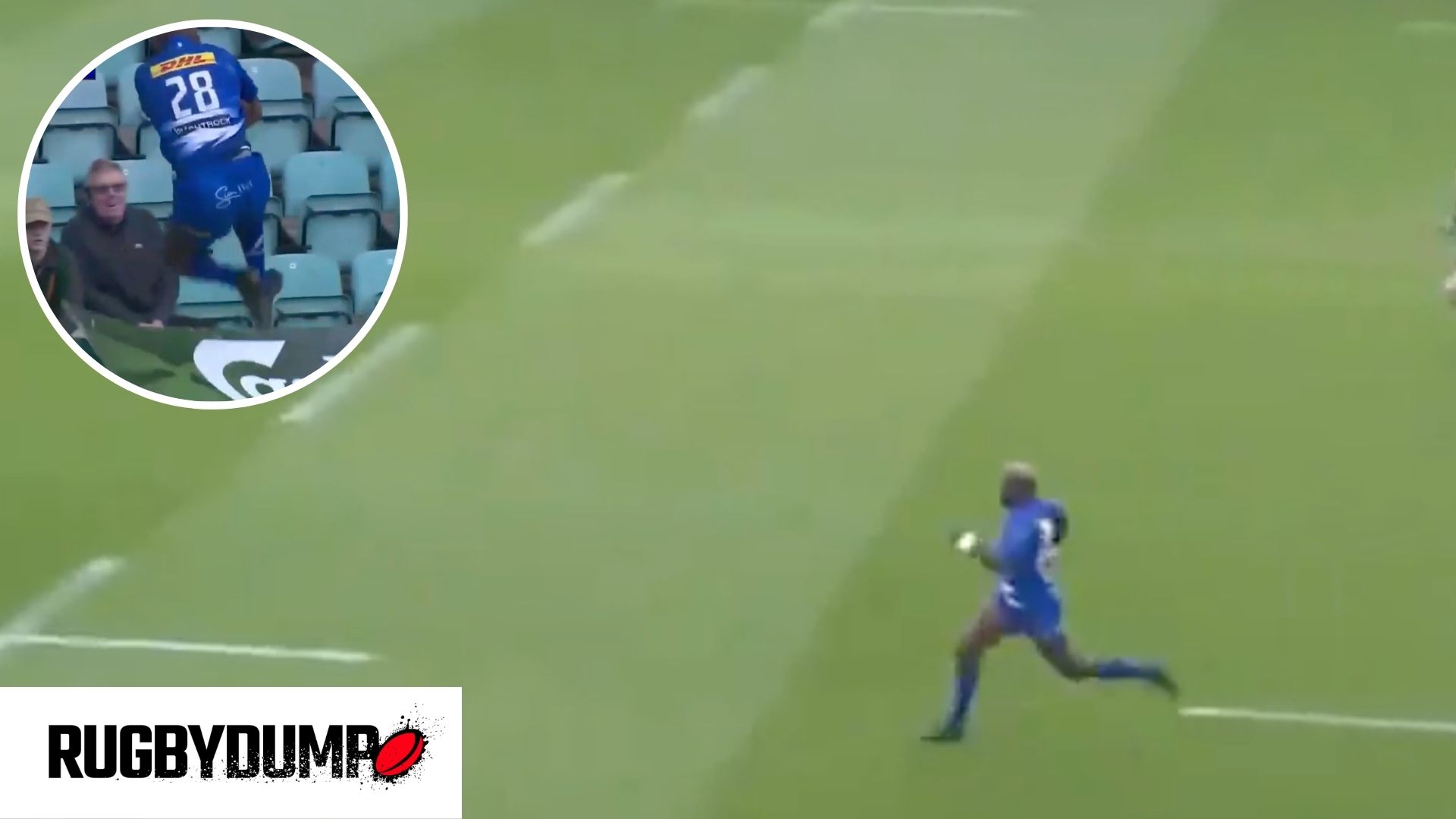 Stormers number 8 pulls off all time try celebrations vs Northampton ...