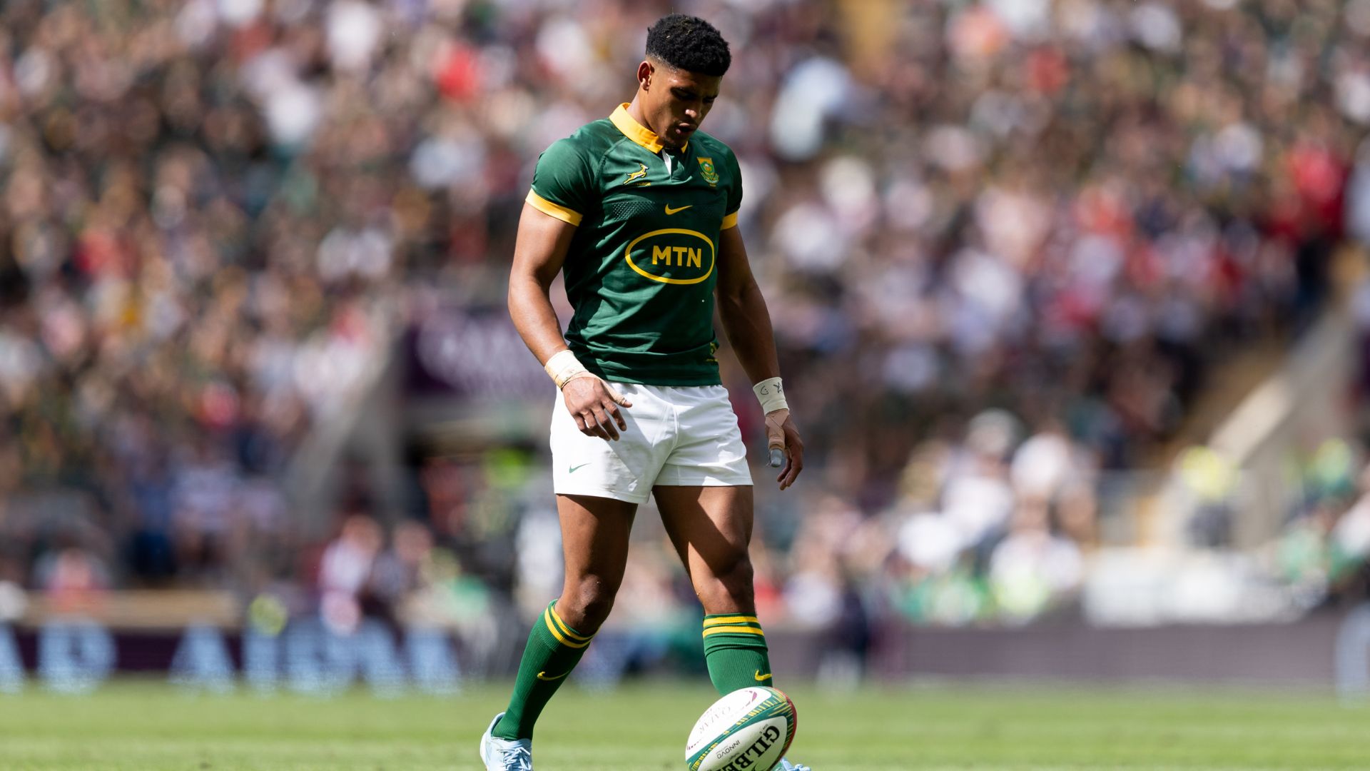 Assessing the Springboks depth ahead of The Rugby Championship | Rugbydump