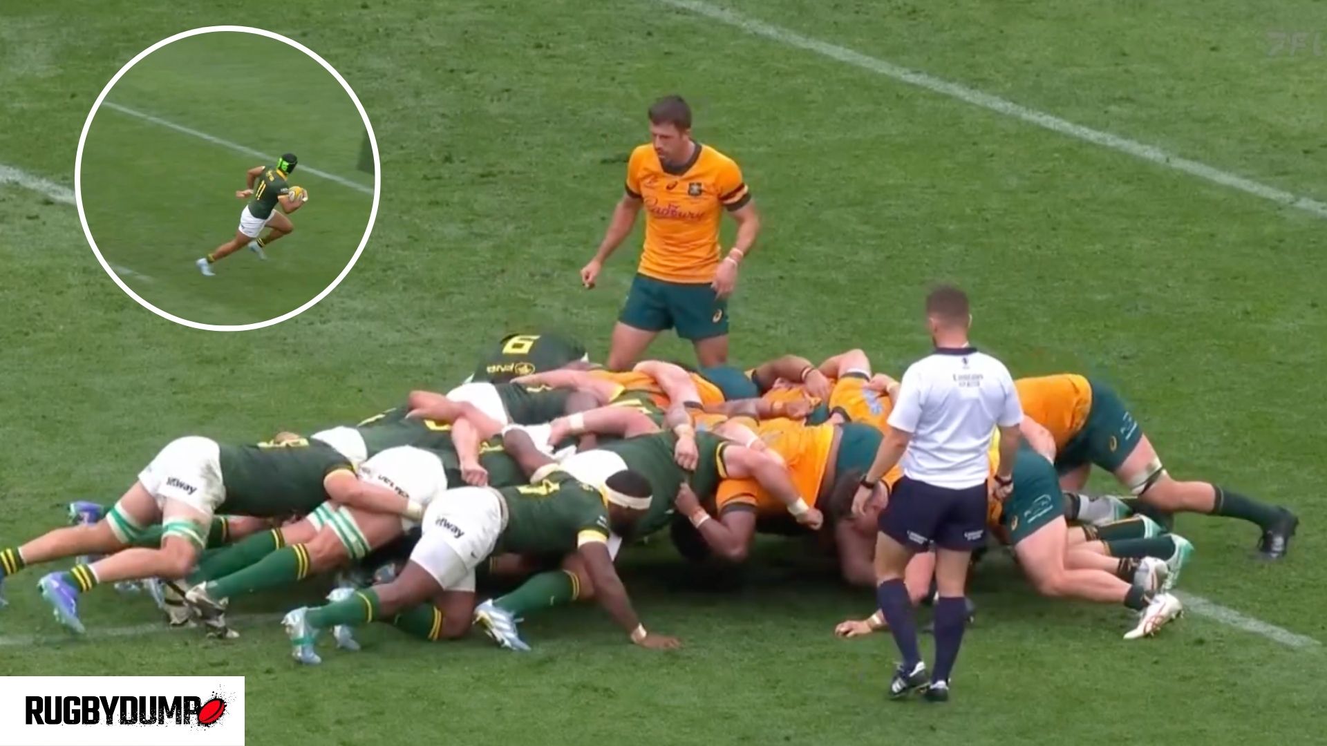 Three key takeaways from the Springboks dominant win vs the Wallabies ...
