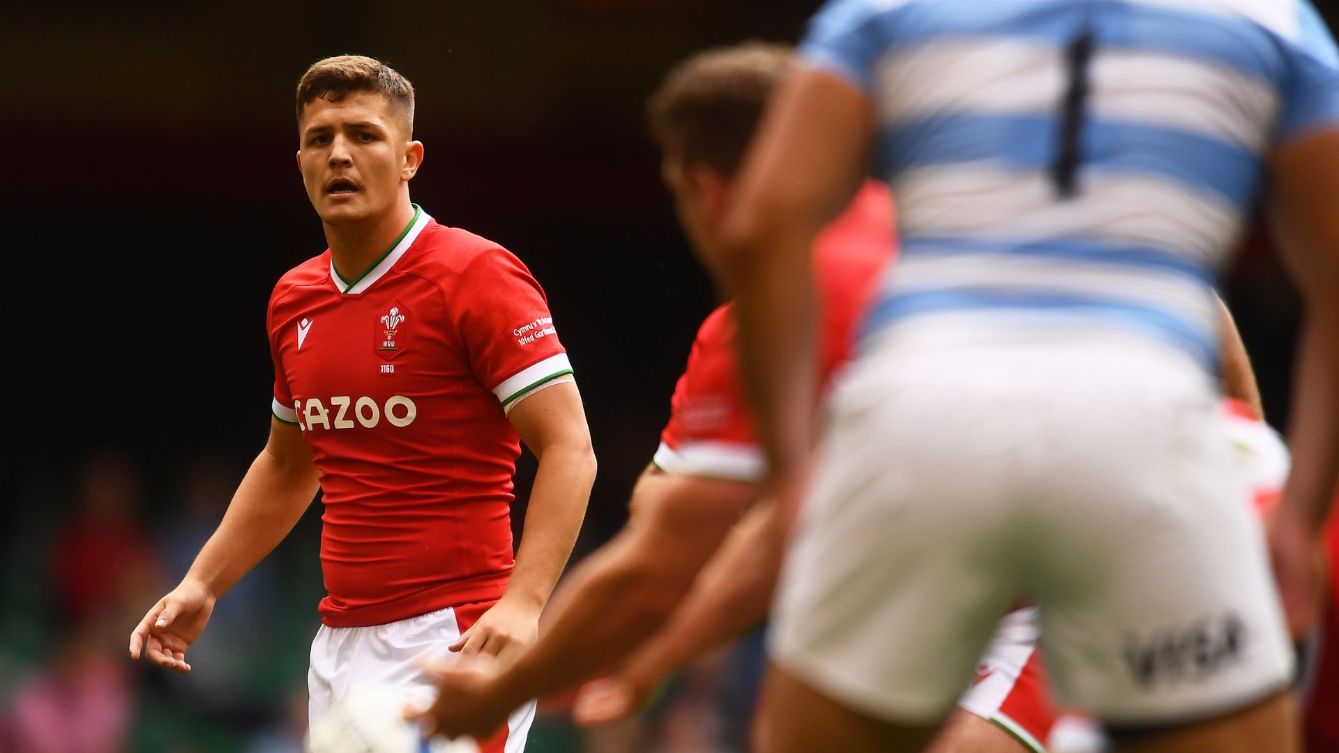 The top ten URC signings ahead of the 2024/25 season kick-off | Rugbydump