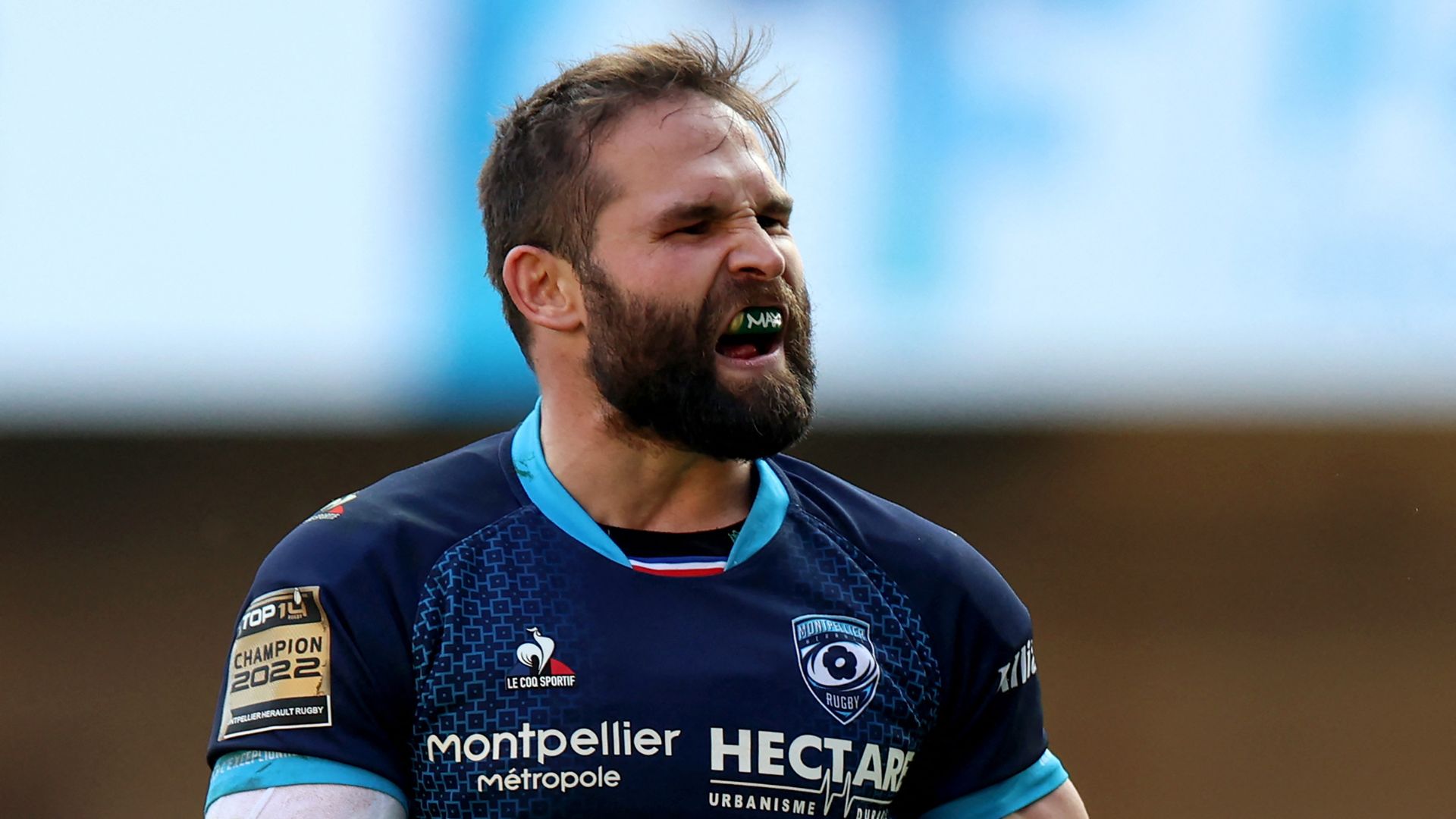 Bok swap - Montpellier reportedly chasing Cobus Reinach replcaement | Rugbydump
