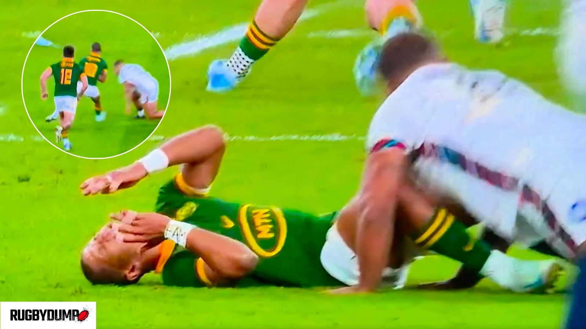 Debate rages following Springbok flyhalf Manie Libbok's pursuit of ...