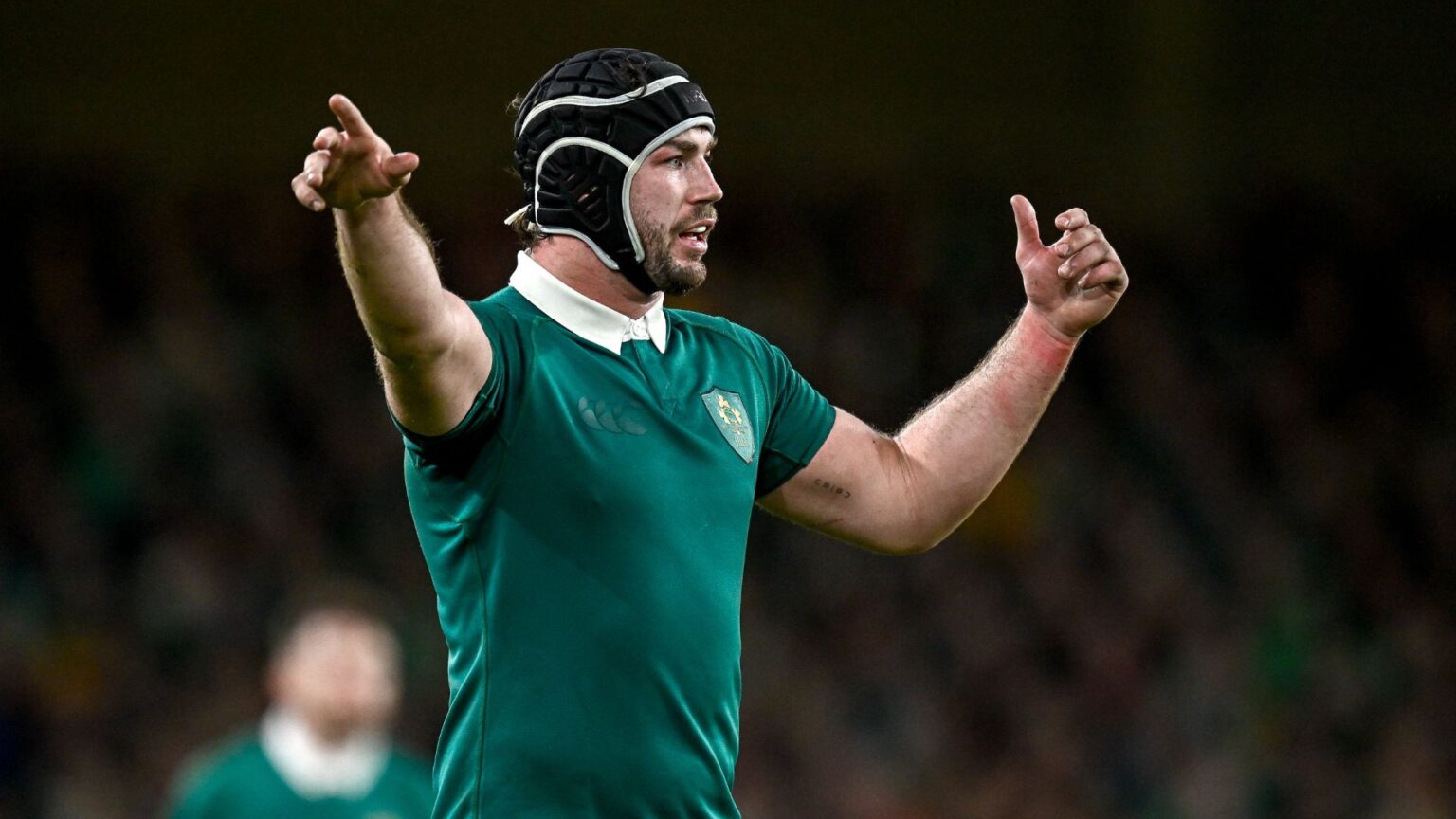 RugbyDump's top five backrows in 2024 | Rugbydump